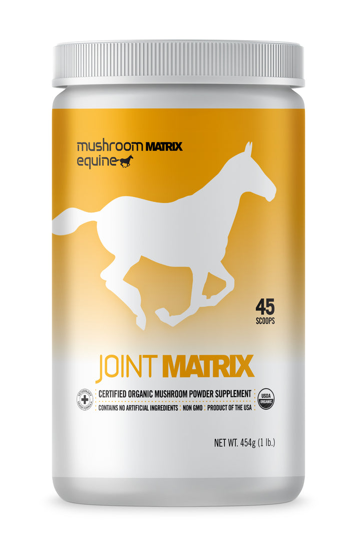 Equine Matrix Joint Supplement – Mushroom Matrix